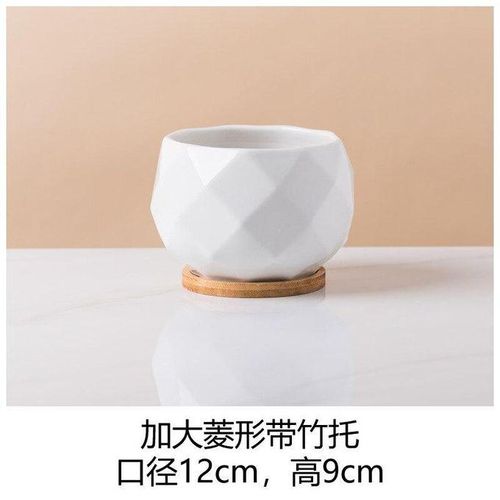 Generic Succulent Flower Pots, 100 White Large Diameter Small Flower ...