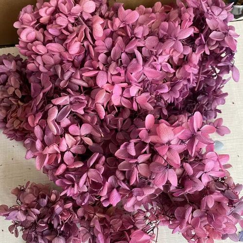 Generic 6.5g/about 3~4cm Flower Petal Real Natural Fresh Preserved ...