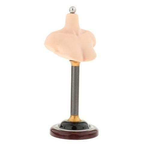 Generic 1/6 Male Female Bust Stand Half Bust Base Stand Platform PVC ...